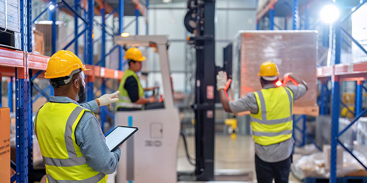 Installation & Maintenance | Safe Align Storage Solutions FZ-LLC